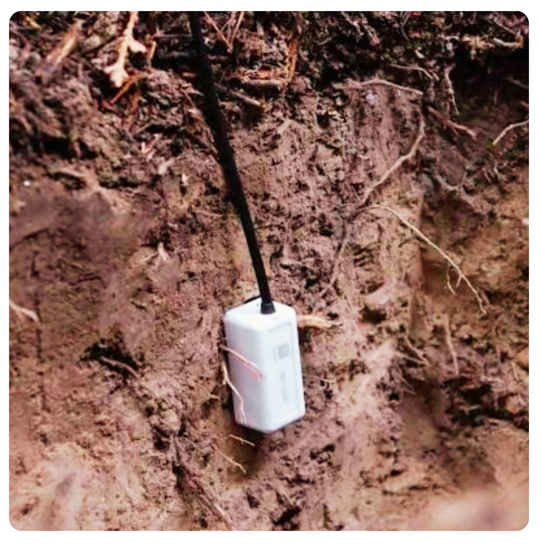 Apa Manfaat Soil Data Logger Untuk Mengukur Suhu dan Kelembapan Tanah ...